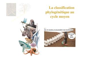 Calaméo - Classification phylogénétique