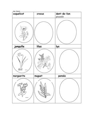 Calaméo - Les fleurs fiche de vocabulaire
