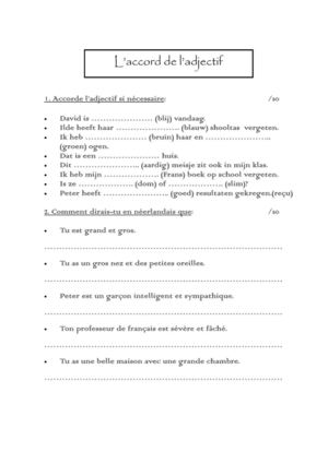 Calaméo - G3bis exercices l'accord de l'adjectif