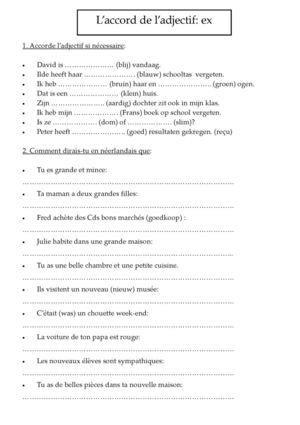 Calaméo - exercices supplémentaires l'accord de l'adjectif