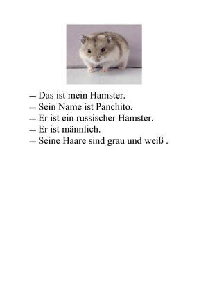 Calaméo - Das ist mein Hamster 6º Colegio E.GODOY