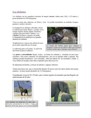 Calaméo - textos de animales