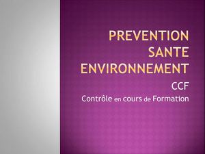 Calaméo - Les CCF de PSE en Bac Pro