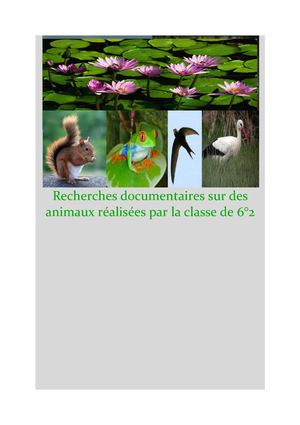Calaméo - Recherches sur des animaux