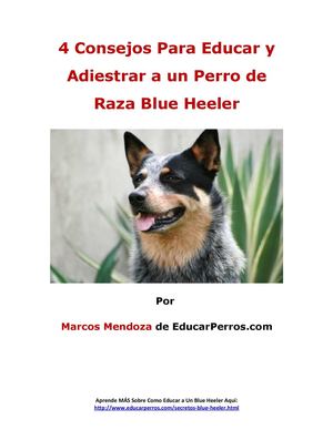 Calaméo - 4 Consejos Para Educar y Adiestrar a un Perro de Raza Blue Heeler
