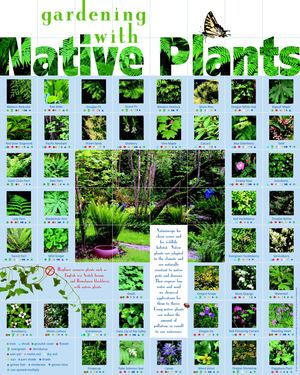 Calaméo - Gardening with Native Plants - Seattle, Washington