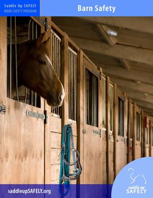Calaméo - Barn Safety