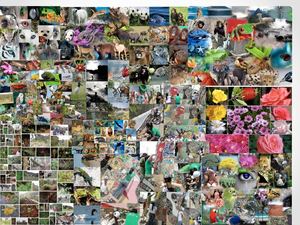 Calaméo - collage de Ecología