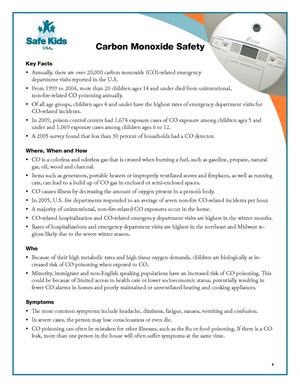 Calaméo - Carbon Monoxide Safety