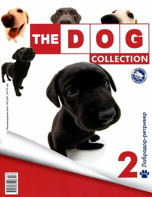 Calaméo - The Dog collection - 02