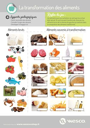 Calaméo - fiche d'activité transformation_aliments