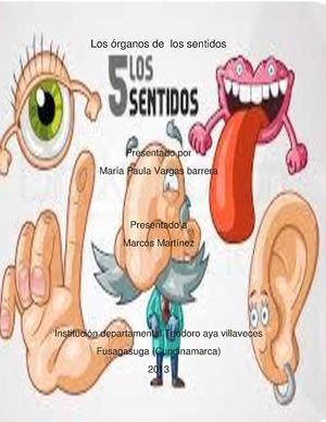 Calaméo - Los órganos de los sentidos