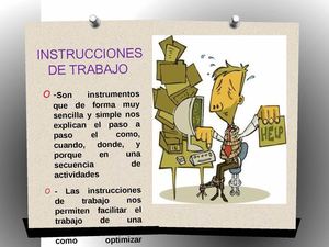 Instrucciones De Trabajo Siguiendo Los Lineamientos De Nuestro