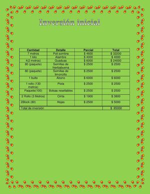 Calaméo - Invercion inicial