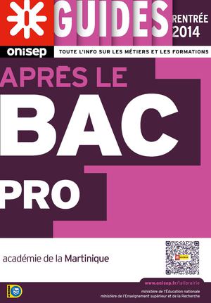 Calaméo - Guide après le Bac Pro 2014