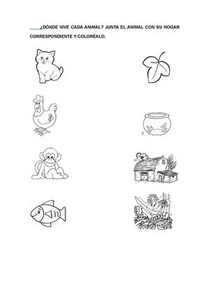 Calaméo - Dónde vive cada animal