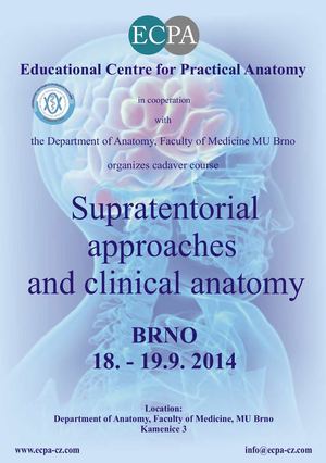 Calaméo - Supratentorial approaches and clinical anatomy