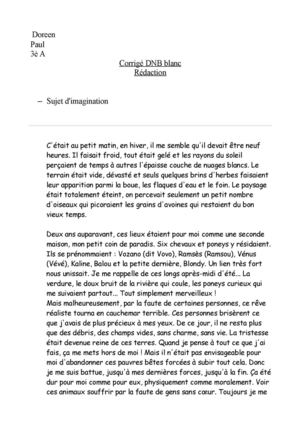 Calaméo - Correction DNB blanc Doreen Paul