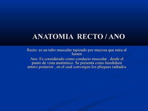 Calaméo - estado del ano