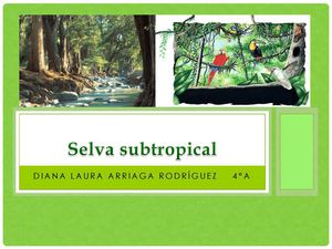 Calaméo - SELVA SUBTROPICAL