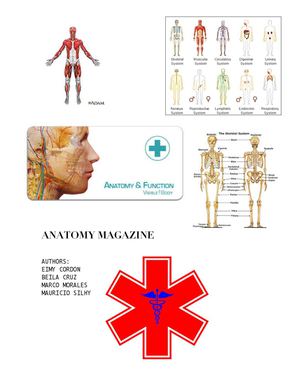 Calaméo - Anatomy Magazine - The Human Body Systems
