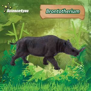 Calaméo - E-Book Brontotherium