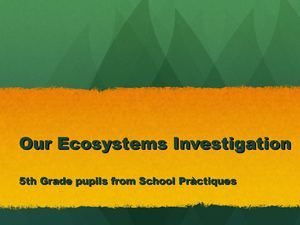 Calaméo - Our Ecosystems Investigation