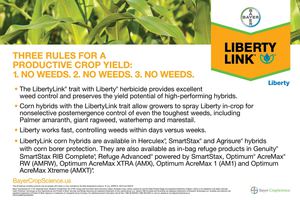 Calaméo - LibertyLink®/Liberty® - Corn