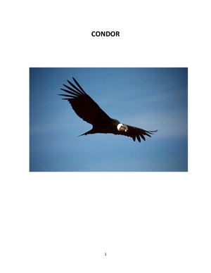Calaméo - el condor pdf
