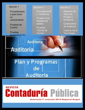 Calaméo - Planes y Programas de Auditoria - Tipos de Pruebas