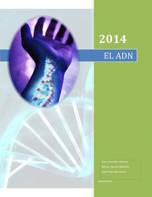 Calaméo - ADN