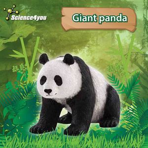 Calaméo - E-Book Giant Panda