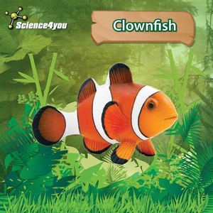 Calaméo - E-Book Clownfish