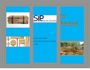 Calaméo - Triptico De La Madera