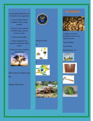 Calaméo - Triptico La Madera