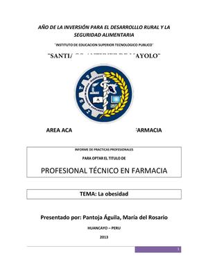 Calaméo - Informe Para Titulo Corregido