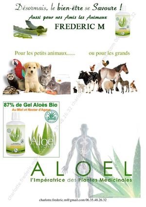 Calaméo - Livret Aloel Frédéric M pour Animaux
