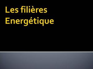 Calaméo - Les%20fili%c3%a8res%20energ%c3%a9tique%20r%c3%a9cup%c3%a9r%c3%a9