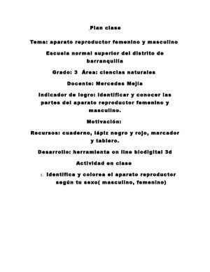 Calaméo - Plan Clase