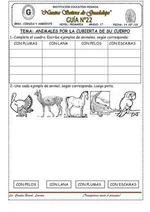 Calaméo - Animales Por La Cubierta De Su Cuerpo