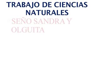 Calaméo - Valentin Acosta Maq 20