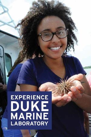 Calaméo - 2015 - Duke University Marine Lab