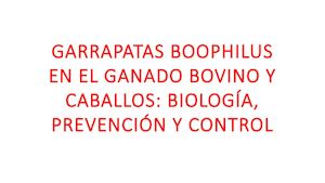 Calaméo - Garrapatas Boophilus Ydermatobia Hominis En El Ganado Bovino ...