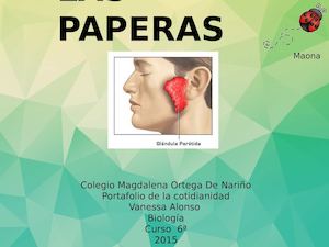 Calaméo - Las Paperas