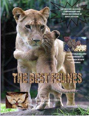 Calaméo - LOS MEJORES FELINOS