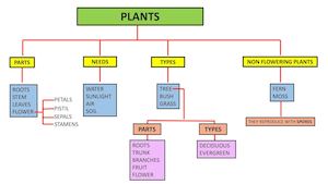 Calaméo - Plants Mindmap