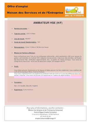Calaméo - Animateur Hse