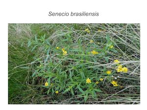 Calaméo - MARIA-MOLE