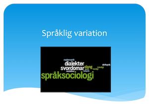 Calaméo - Språklig Variation Gg