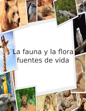 Calaméo - La Fauna Y La Flora Fuentes De Vida